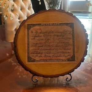 6 Large Forked Wood Sticks, Birch Sticks, Wood Decor, Birch Log, White ...