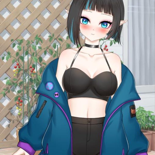 Custom Vtuber Model / Live2d Model Premade/ Vtuber Design / Vtuber Room/live2d Model /vtuber ...