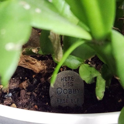 Shark Push Pins - Etsy