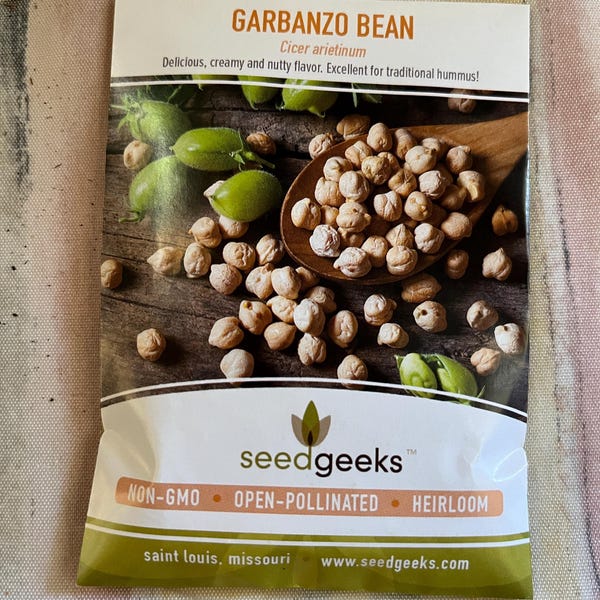 Northern Blazing Star Flower Seeds Heirloom Seeds, Native Seeds ...