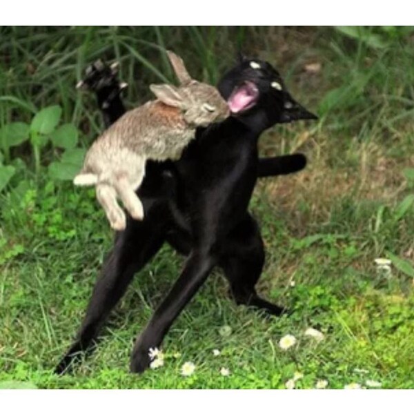 Handmade Wooden RPG Adventurer's Case - Storage for All of Your Dnd ...