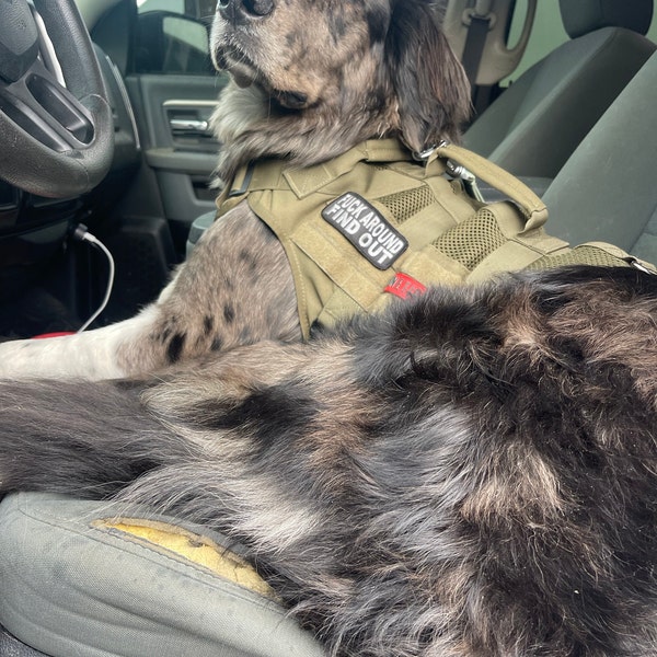 German Shepherd Patches Ready to Attach to Dog Vest / Harness. Dog Vest Harness Patches, Do Not ...