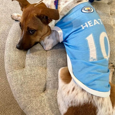 Barcelona Personalised Pet Tank Top FC 23/24 With Original FC Logo dog ...