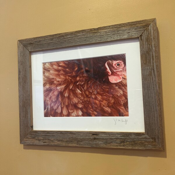 Matted Photography Print (6x9 Image/11x14 Mat) - Joel Miller, the Wild ...