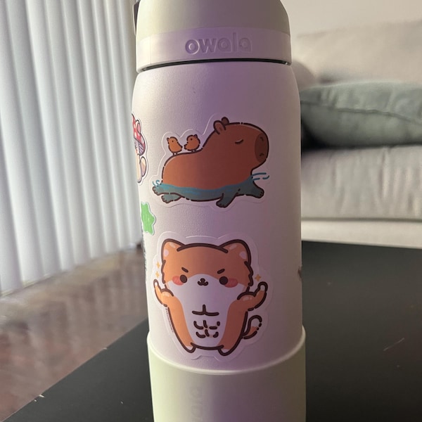 Please Handle With Love FRAGILE Sticker Cat Meme Stickers Kawaii/funny ...