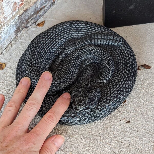 Rattlesnake Concrete Statue - Home or Garden Decor, Cement Statue, Lawn ...
