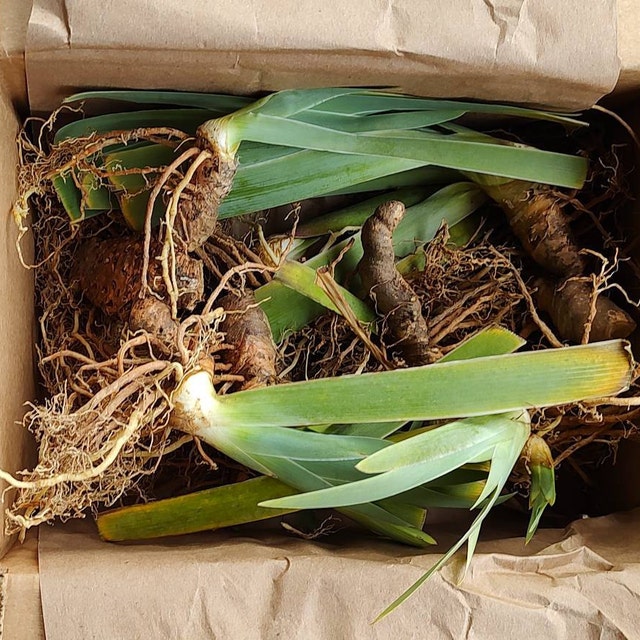 PecanGroveFarms - Etsy