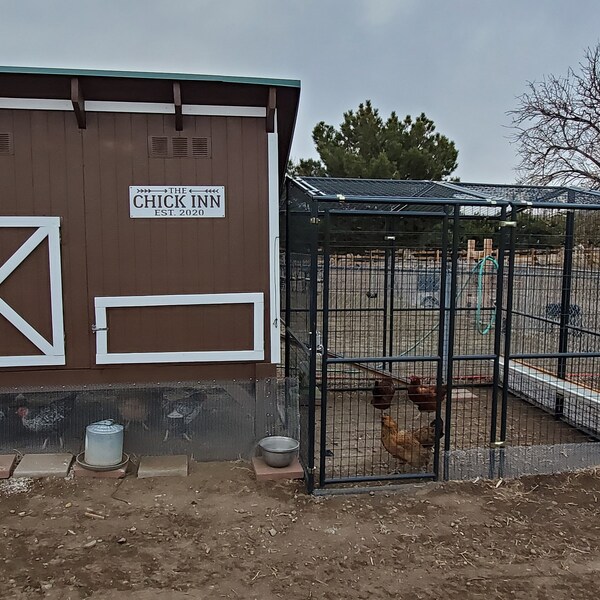 The Chick Inn - Established Year (personalized) - 24" Wide X 8" Tall ...