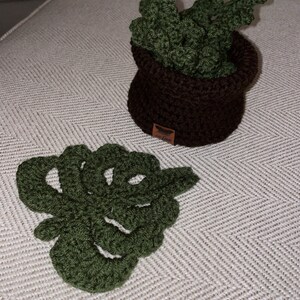 Monstera Leaf Coasters Crochet Pattern, Video Tutorial and PDF Download ...