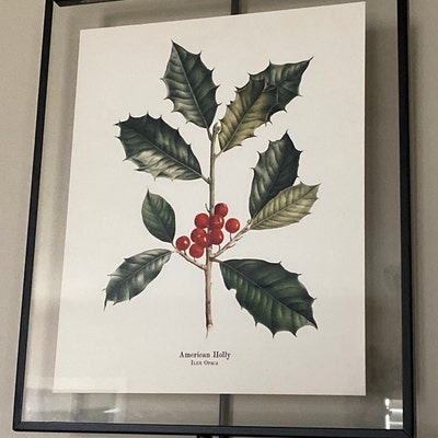 Holly Plant Christmas Botanical Print Holiday Wall Art INCLUDES Plant ...