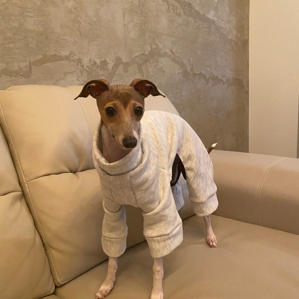 Tracksuit Dog Pajamas - Light Grey | Greyhound, Whippet, Pitbull ...