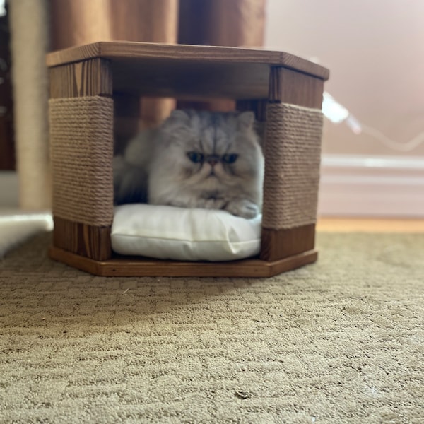 Ceiling Cat Furniture With 3 Octagon Beds Kitten Ceiling Playground ...