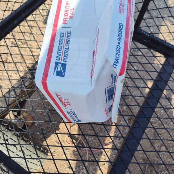 10x Seeds Giant Passionfruit Giant Granadilla, Rare, Exotic, Delicious ...