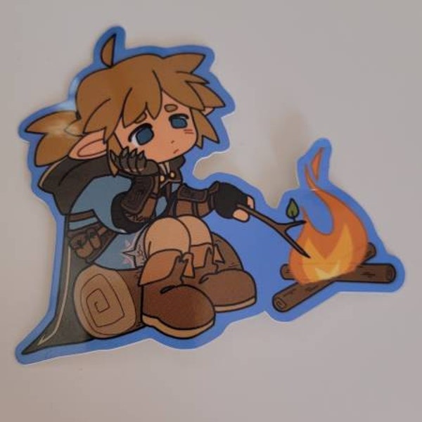 Link Missing Zelda --- the Legend of Zelda: Tears of the Kingdom ...