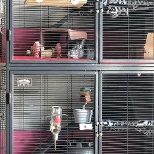 Cage Guards / Poop Guards SAFEST & MOST AFFORDABLE Option for Keeping ...