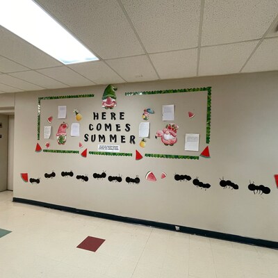 Sweet Summer Bulletin Board Pineapple Fruit Popsicles Display - Etsy