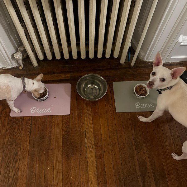 Custom Pet Gift Dog Food Mat Personalized Dog Mat Food Mat for New ...