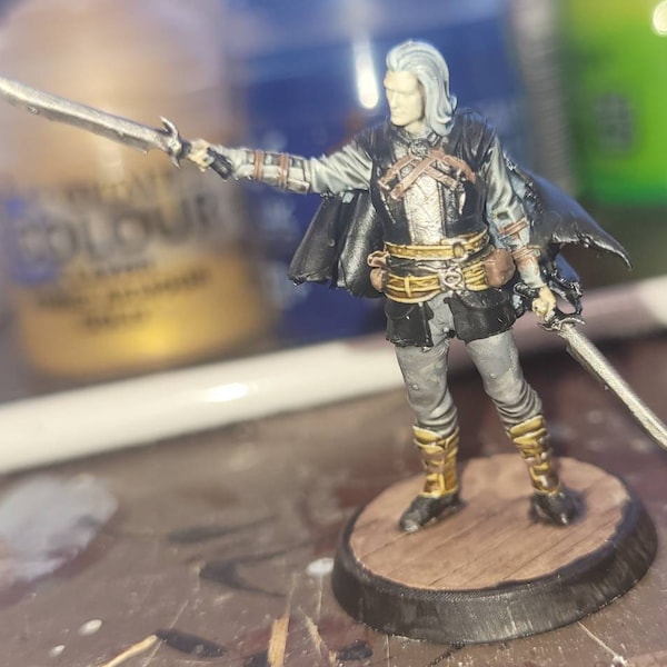 Elf, Male, Rogue, Fighter, Ranger, Reinforced Leather Armor, 2 Weapons ...