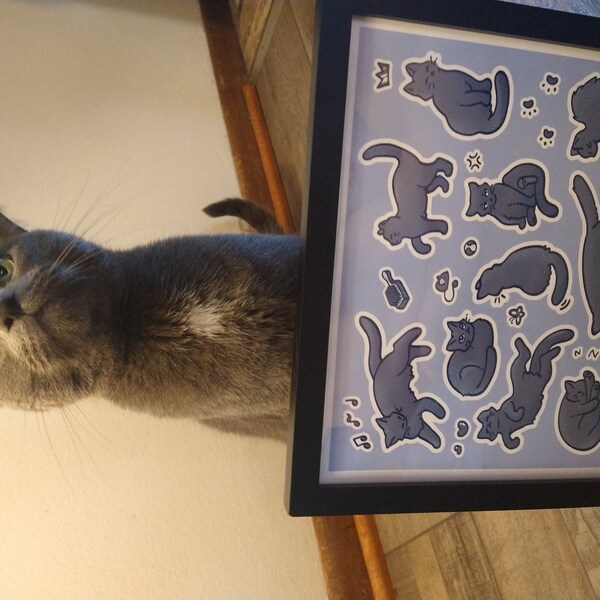 Kitty Korner Sticker Sheet - Grey/russian Blue || Cat Sticker Sheet ...