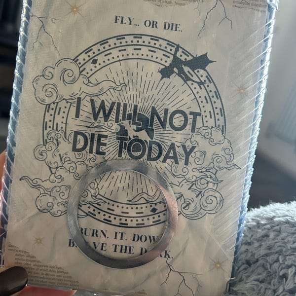 Chestnut Spring Kindle Insert, Cowboy Romance Kindle, Book Lover Case ...