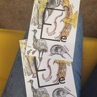 A to Z Menagerie. 26 Animal Alphabet Learning and Teaching Flash Cards ...