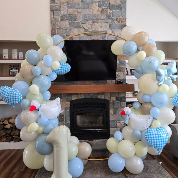 One Silly Goose Balloon Garland Balloon Arch Silly Goose Birthday Party ...
