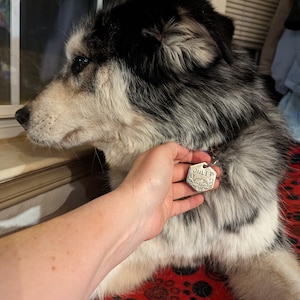 Mini Dog Tag for Dogs, the Bean, Dog Tag, Kidney Bean, Personalized ...