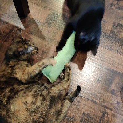 Catnip Buds 4 Oz Bundle / Pure Cat Fun / Made and Organically Grown in ...