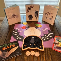 PENGUINS Unit Study, Life Cycle, Anatomy, Nature Study, Science ...