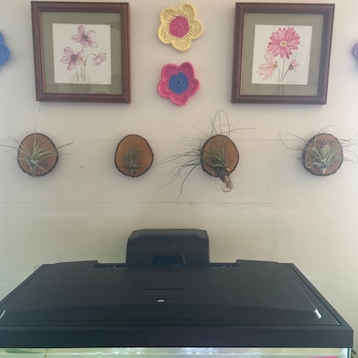 Vase Wood, Hand Turned Live Edge, Twig Pot, Dried Flowers - Etsy