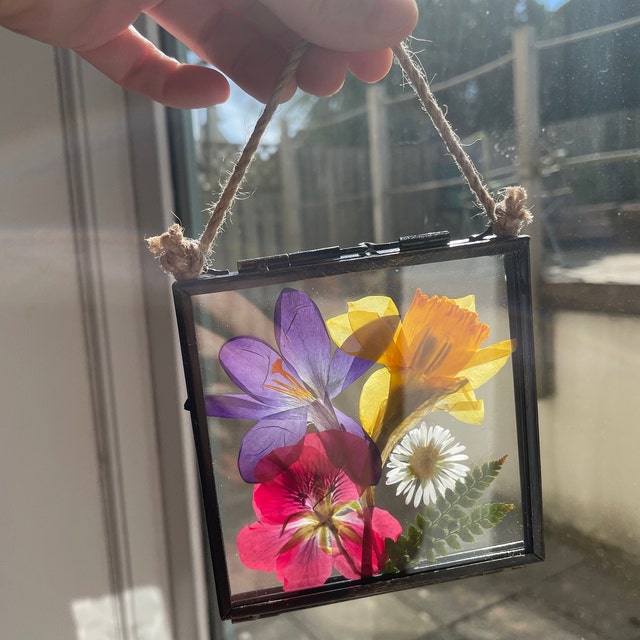 Quirky Wallflowers Pressed Flower Frames and by QuirkyWallflowers