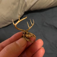 Weißwedelhirsch Schädel mit Geweih - 1:12 realistische Miniatur ...