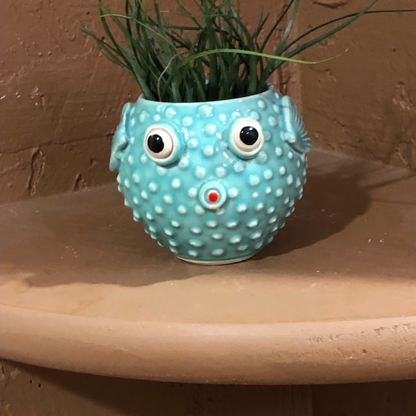 Puffer Fish, Table Top Planters, Air Plants, Joyful Gift, Tropical Fish ...