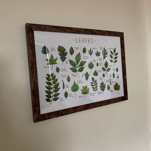 Leaves of North America Field Guide Art Print / Watercolor Tree ...