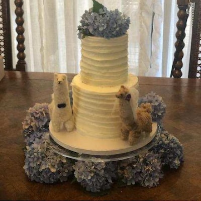 Possum Wedding Cake Topper Opossum Groom and Bride Wedding - Etsy