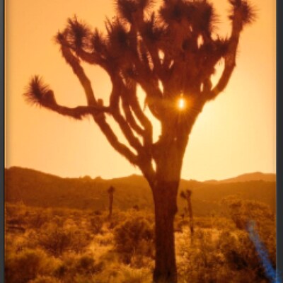 Downsizing Flyers 3 Templates Real Estate Downsize 55 - Etsy