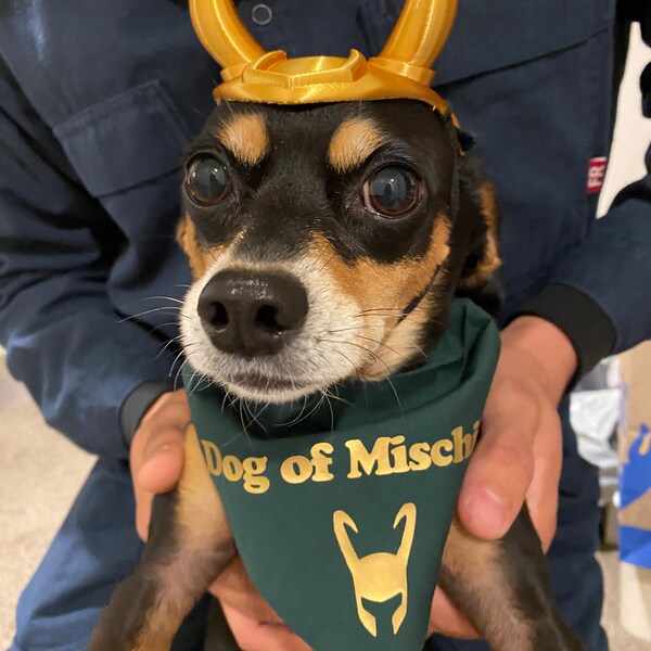 Loki Dog of Mischief Bandana, Loki Symbol Bandana, Marvel Dog Bandana ...