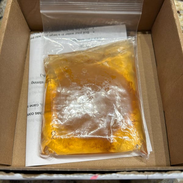 Live and Active Scoby Kombucha Starter Culture With Instructions and 4 ...