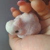 Ocean Seashell Conch Squishy Duck Crab Starfish Squeezable Anxiety ...