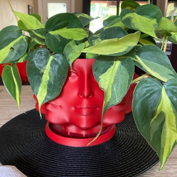 The Polyface Planter - Etsy UK