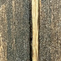 French Riddling Rack Succulent Planter Wine Rack Riddling - Etsy Canada