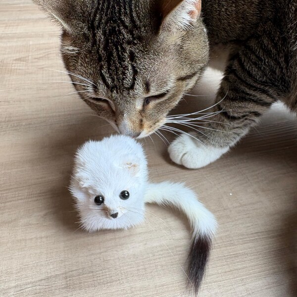 Weasel Slap Bracelet, Sherman the Ermine, White Ermine Slap Bracelet ...