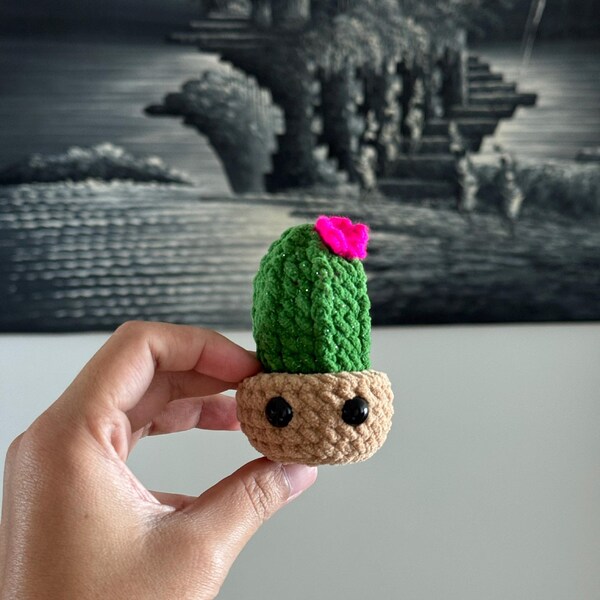 No Sew Cactus Pop-up Crochet Pattern Amigurumi Plant Pattern - Etsy