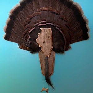 Barn Wood State Shaped Turkey Mount Plaque ALL STATES - Etsy