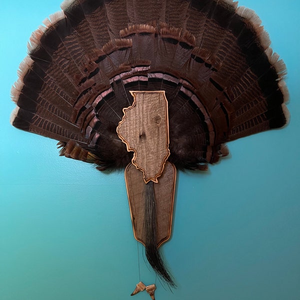 Barn Wood State Shaped Turkey Mount Plaque (ALL STATES) - Etsy