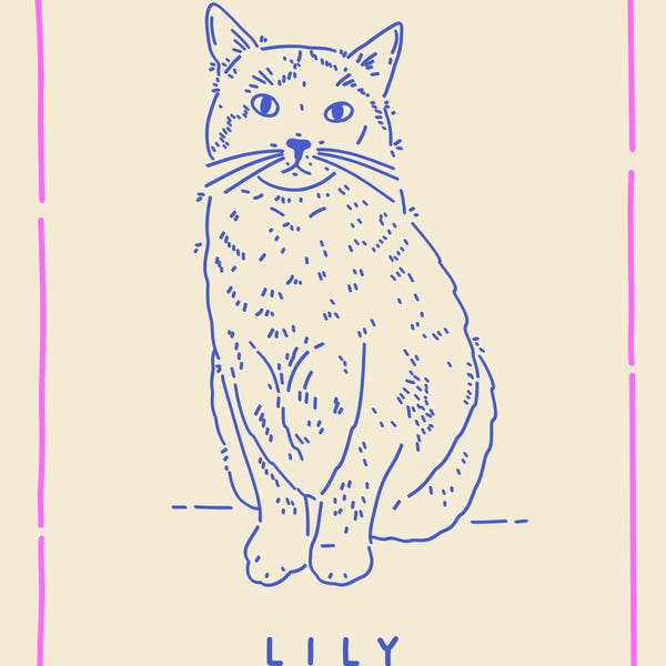 Custom Cat Portrait Cute Cat Poster Personalized Badly Drawn Pet Art ...