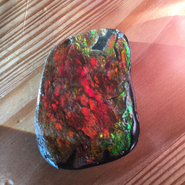 Amazing Natural Ammolite Specimen | Ammolite From Canada | Polished ...