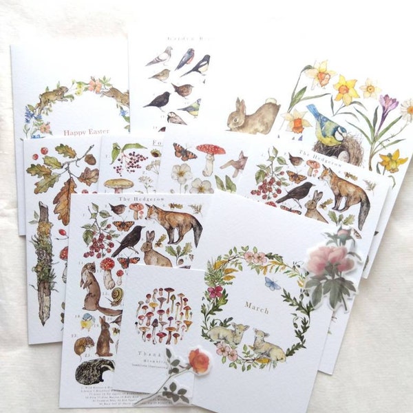 Garden Birds A4 Illustration Print - Etsy