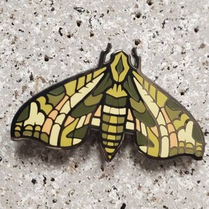 Cecropia Moth Pin Set - Etsy