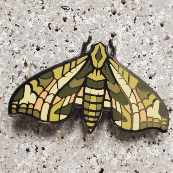 Pandora Sphinx Moth Pin - Etsy